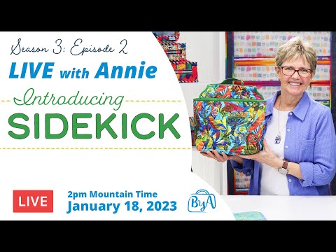S3, Ep 2: Introducing Sidekick (LIVE with Annie) | ByAnnie.com